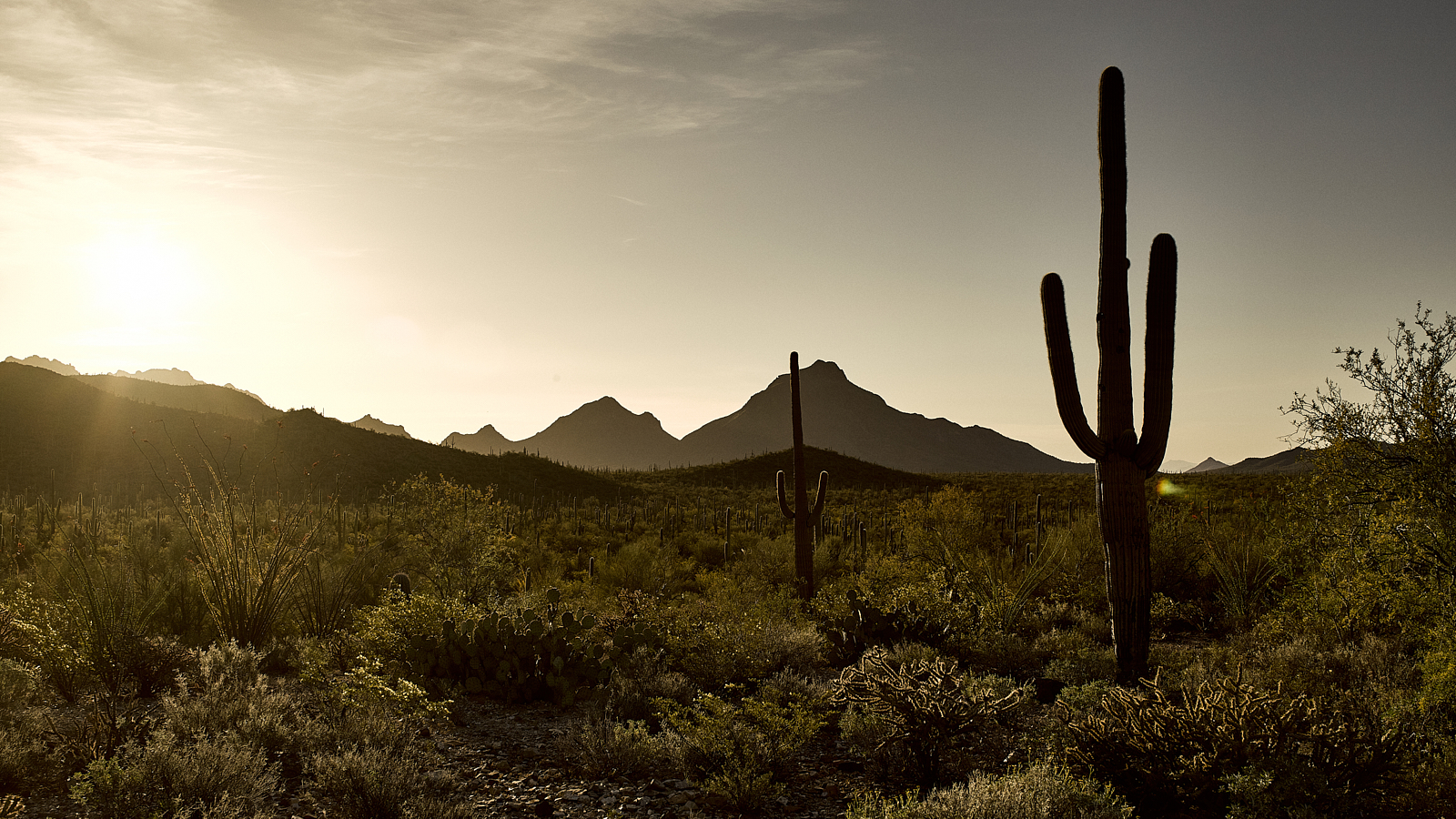 Chris Edwards Photography | Interior, Portrait and Editorial Charlotte, NC